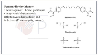 Anti protozoal drugs | PPT