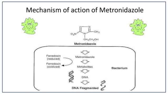 Anti protozoal drugs | PPT
