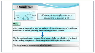 Anti protozoal drugs | PPT
