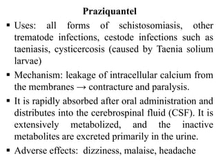 ANTIPROTOZOAL DRUGS.ppt