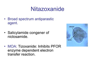 Antiprotozoal drugs-NAK.ppt