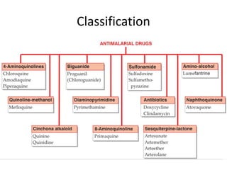 Antiprotozoal drugs | PPTX