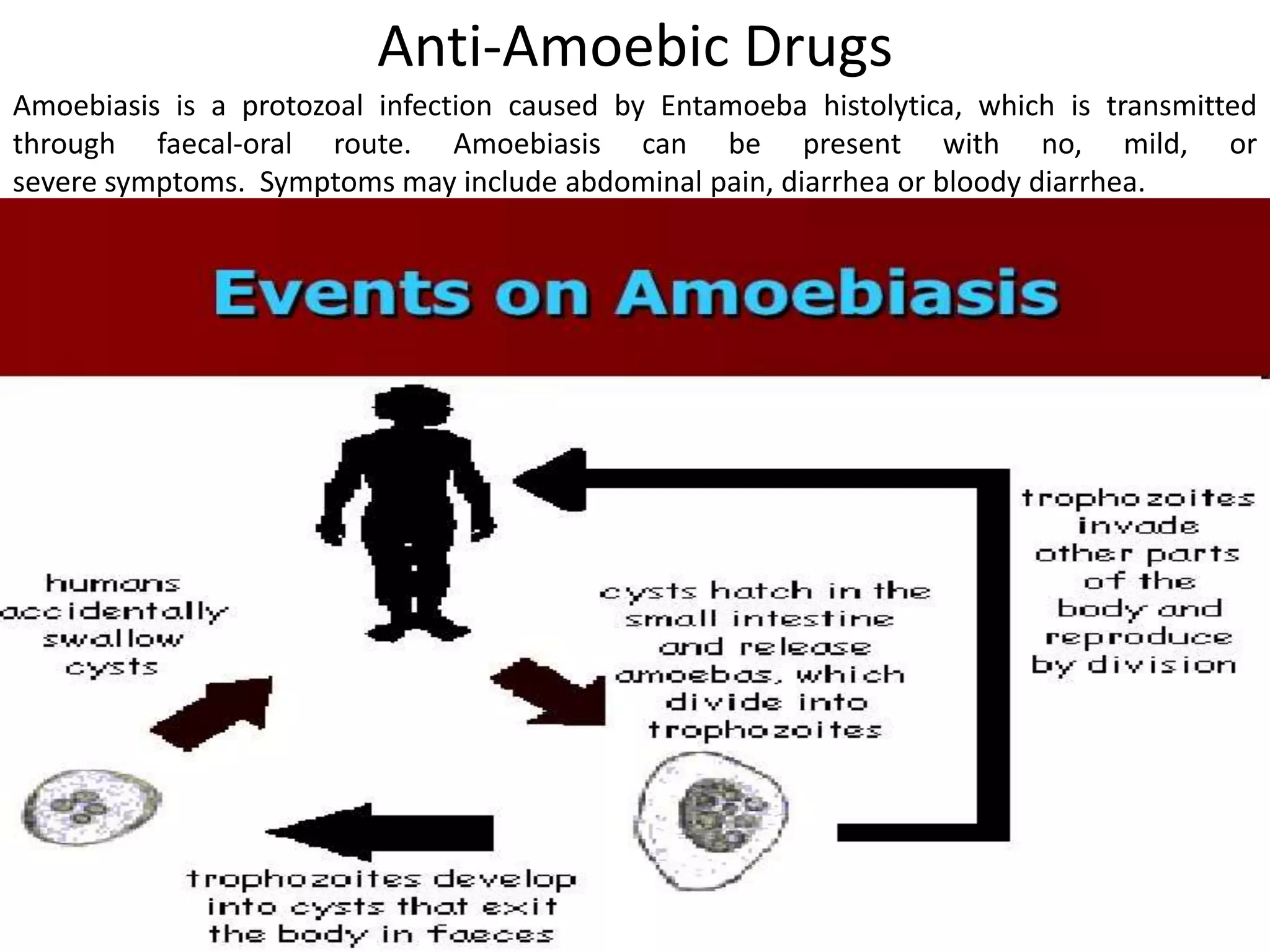 Protozoal infections and antiprotozoal drugs(therapy). | PPTX