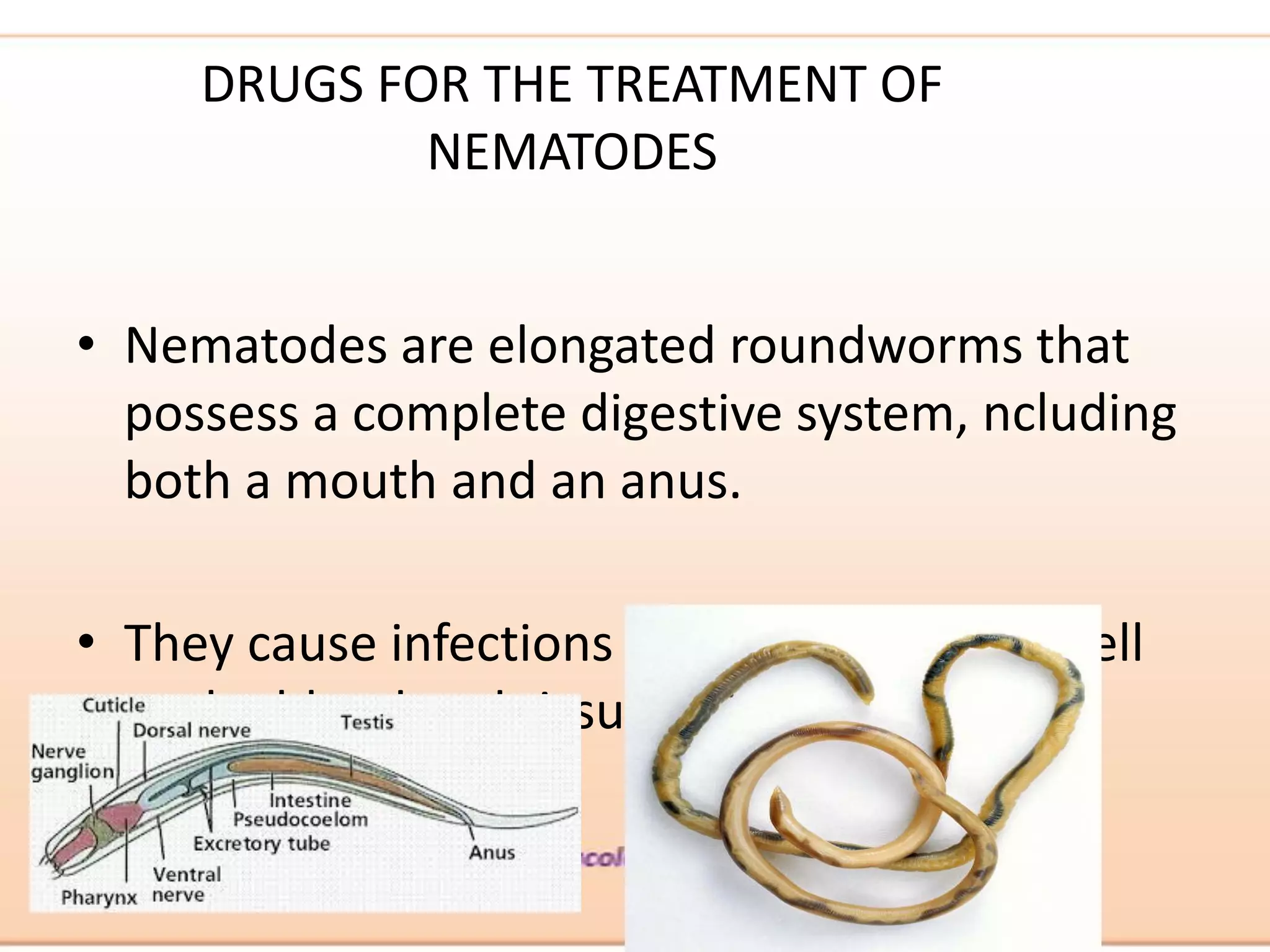 Antiprotozoal protozoa nematodes cestodes trematodes • Malaria ...