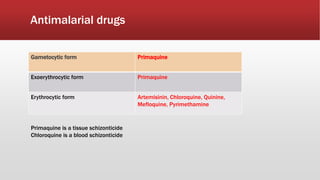 Antiprotozoals | PPT