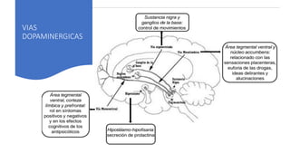ANTIPSICOTICOS-REVISION DE TEMA SOBRE ANTIPSICOTICOS | PDF