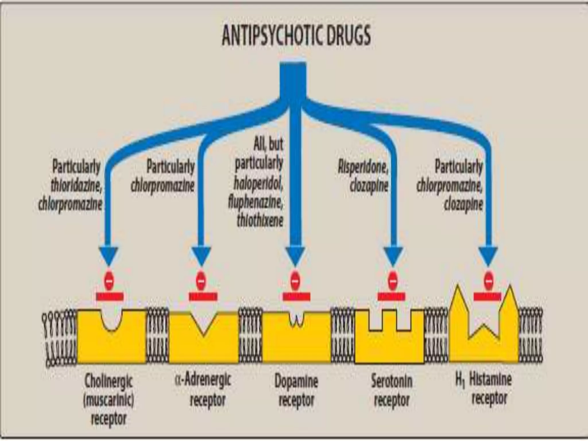 ANTI-PSYCHOTIC DRUG | PPTX