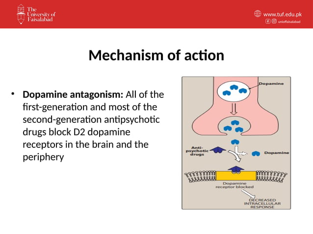antipsychotic drugs.Schizophrenia. Manic | PPT