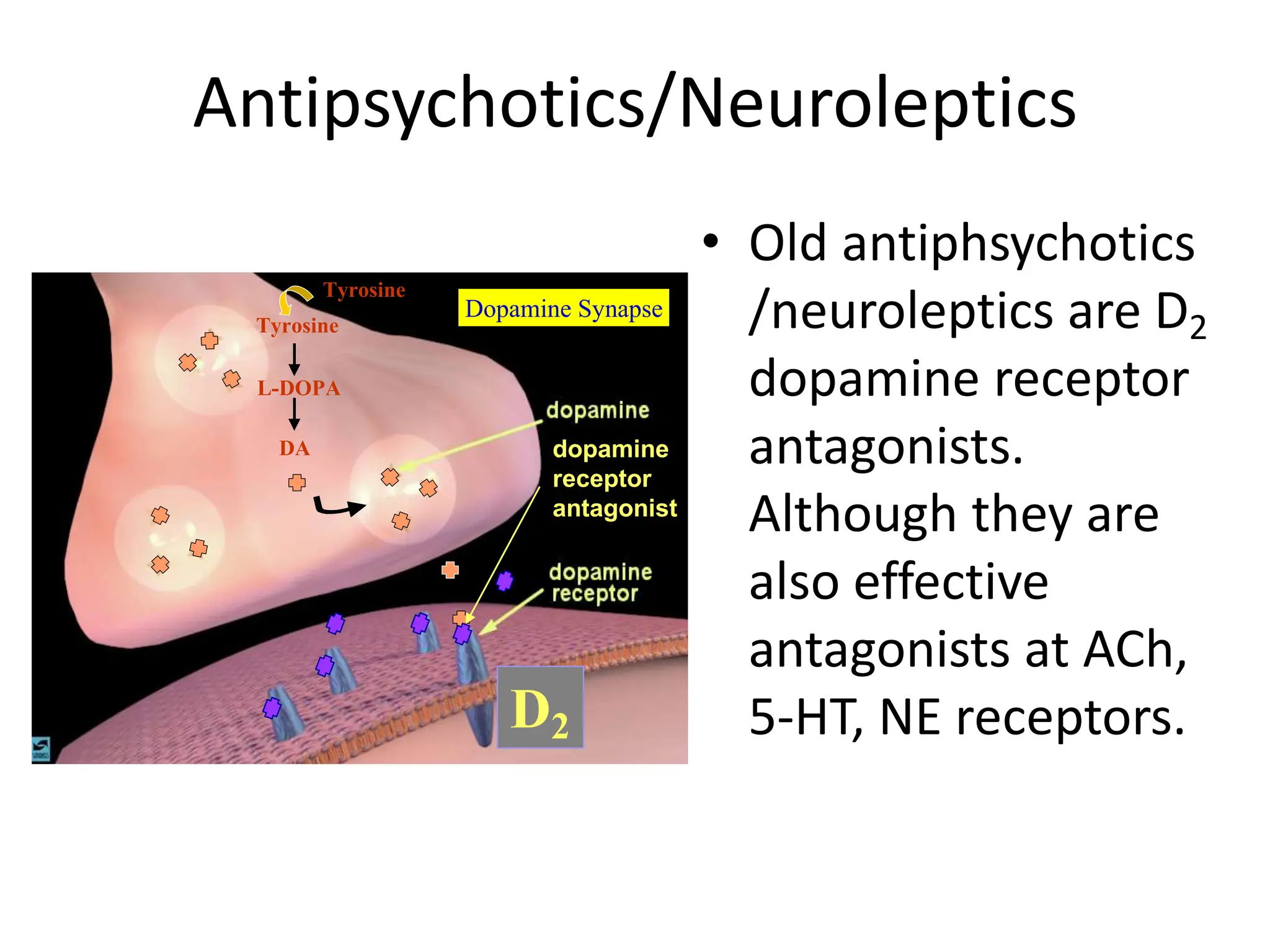 ANTIPSYCHOTICS.pptx drugs therapy slides | PPTX