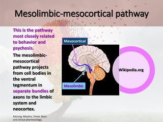 Antipsychotics, pharmacodynamics | PPSX | Brain and Nervous System ...