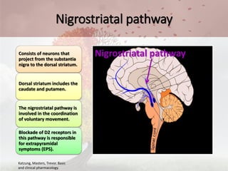 Antipsychotics, pharmacodynamics | PPSX | Brain and Nervous System ...