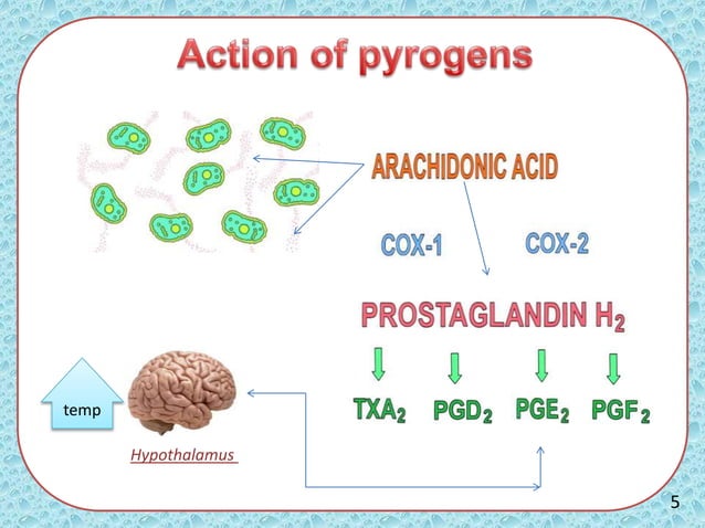 Antipyretics | PPT