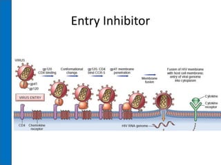 Anti retroviral drugs-Integrase inhibitors | PPT