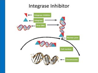 Anti retroviral drugs-Integrase inhibitors | PPT