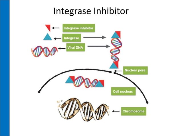 Anti retroviral drugs-Integrase inhibitors | PPT