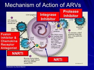 Antiretrovirals | PPT