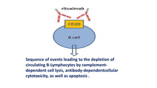Rituximab Mechanism Of Action