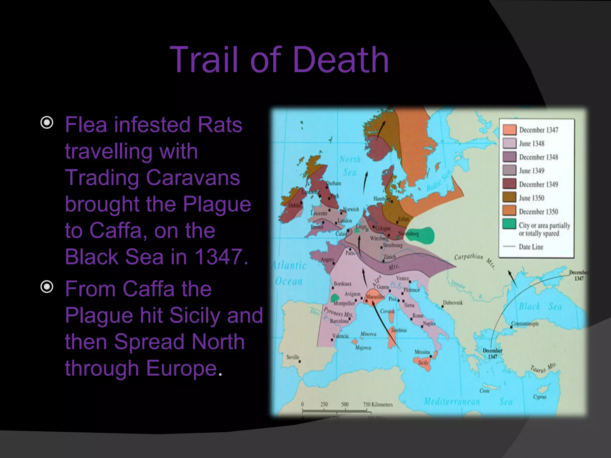 Anti-Semitism; Black Plague | PPT