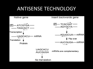 Antisence Rna technology | PPTX