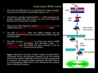 Antisence Rna technology | PPTX