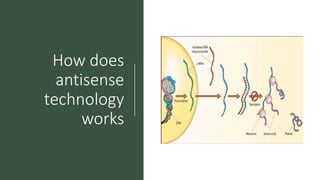 Antisense | PPTX