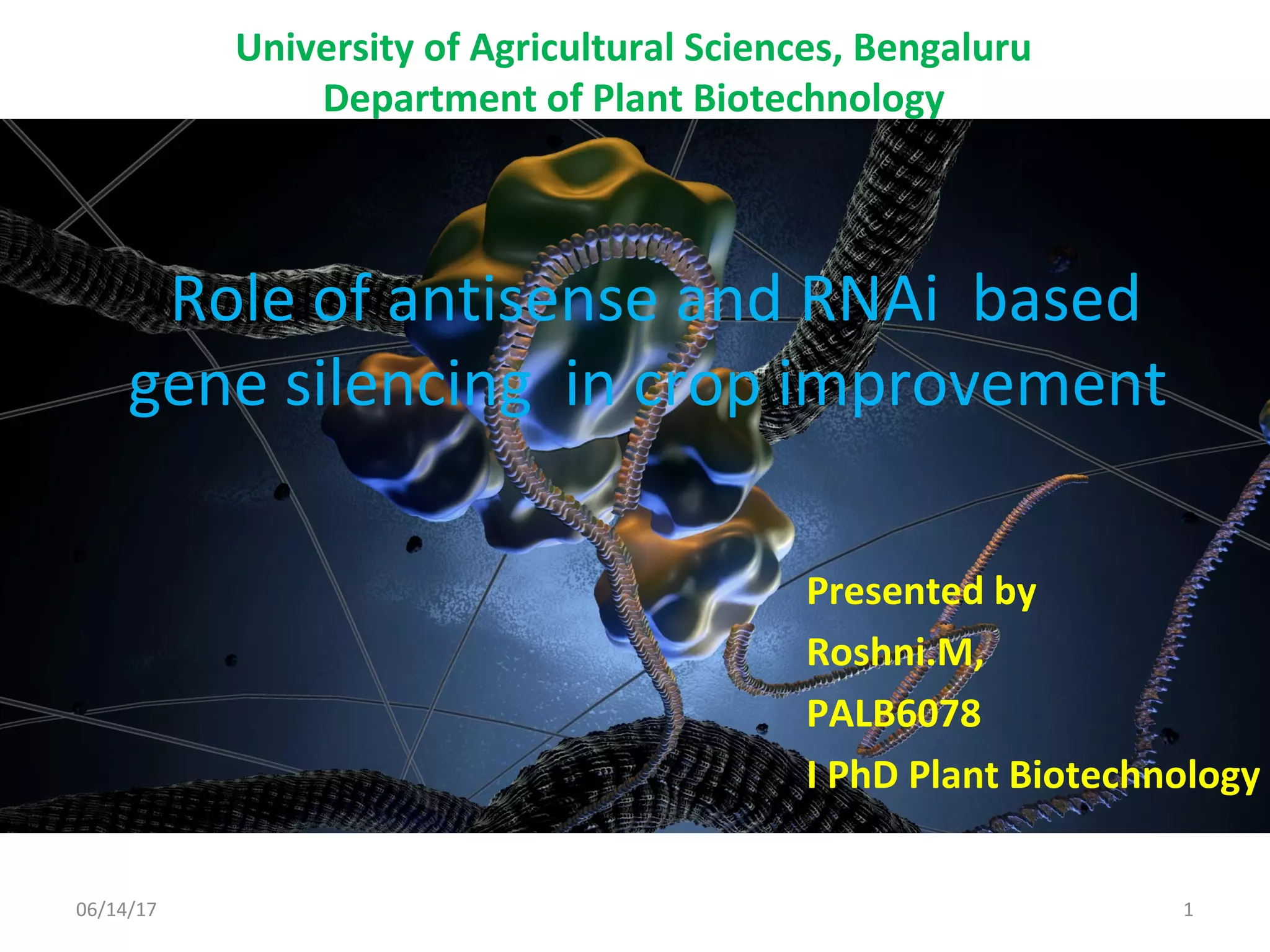 Antisense and rnai | PPT