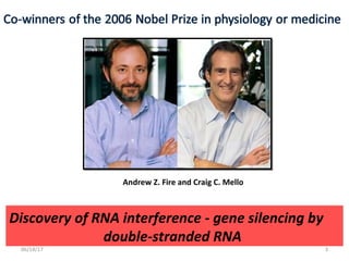 Antisense and rnai | PPT