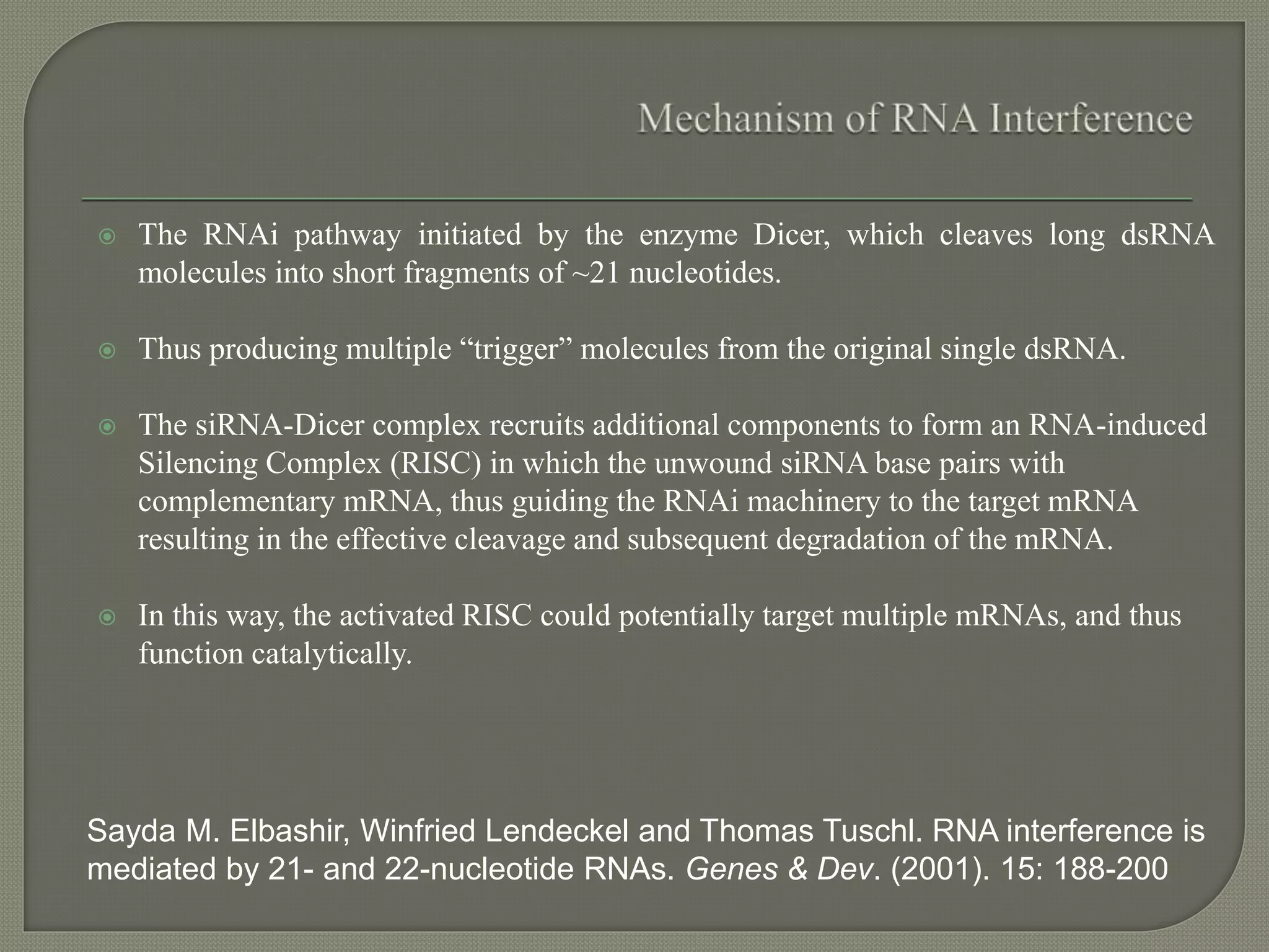 Antisense and RNAi | PPTX