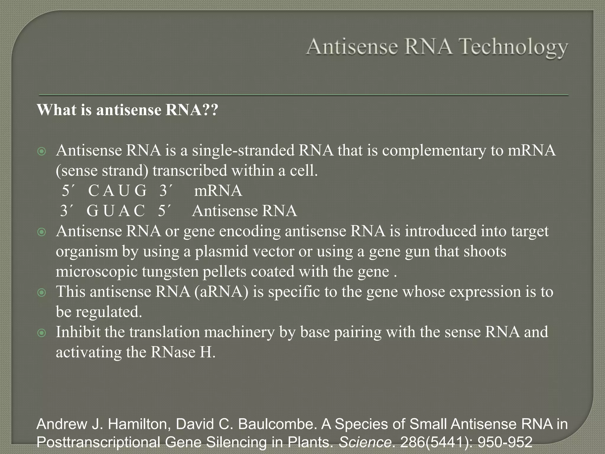 Antisense and RNAi | PPTX