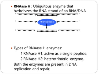 Antisense Drugs seminar 2024: NOVEL .pptx