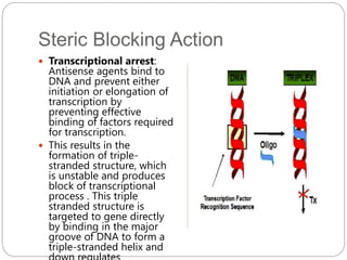 Antisense Drugs seminar 2024: NOVEL .pptx