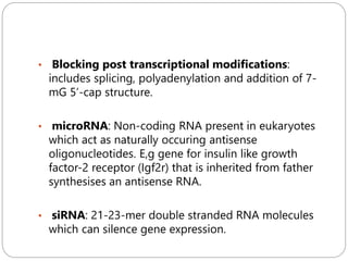 Antisense Drugs seminar 2024: NOVEL .pptx