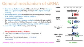 ANTISENSE MOLECULE help to reduce the other molecule .pptx