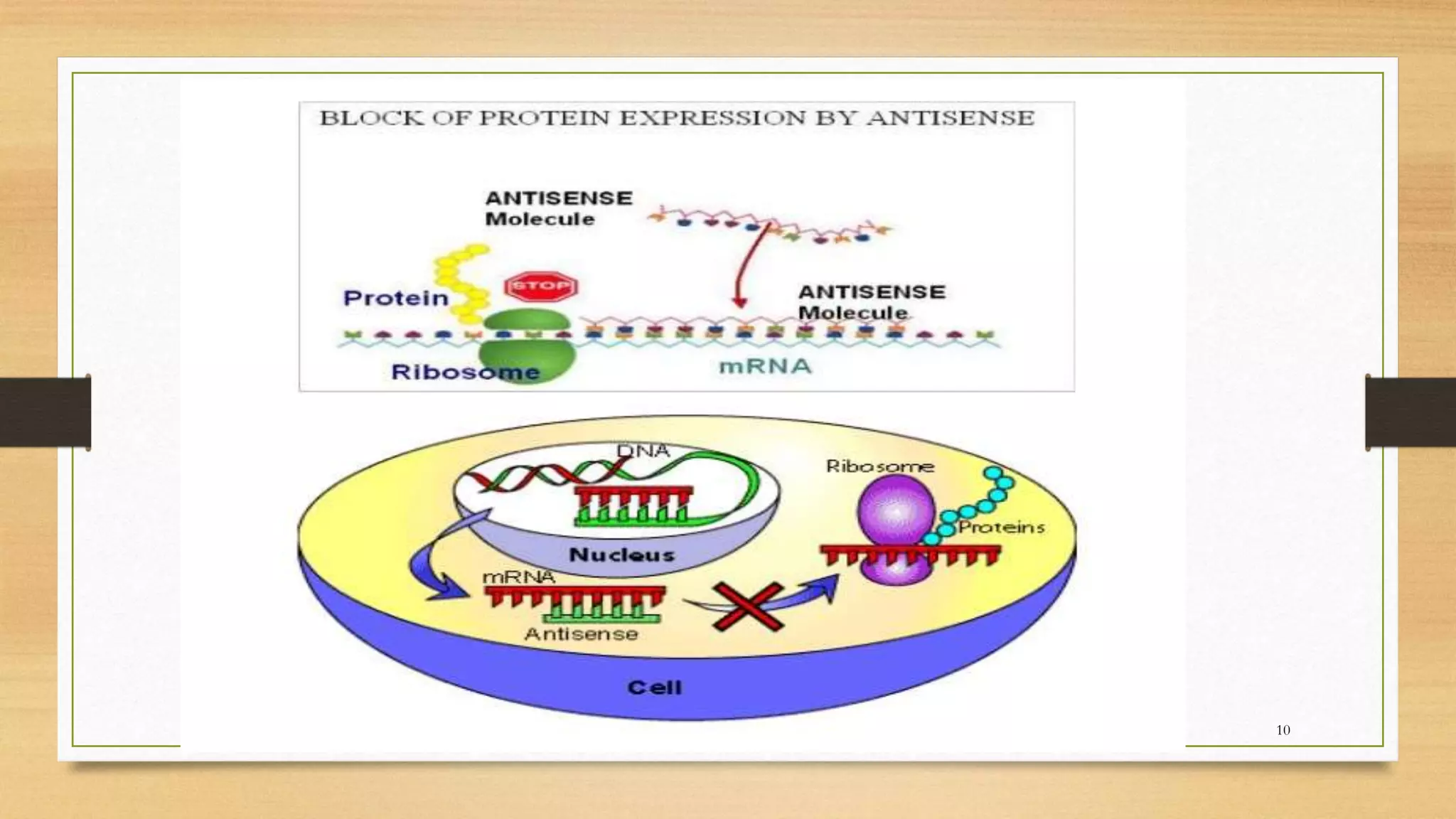 ANTISENSE MOLECULES AND APTAMERS AS DRUGS OF FUTURE.pptx