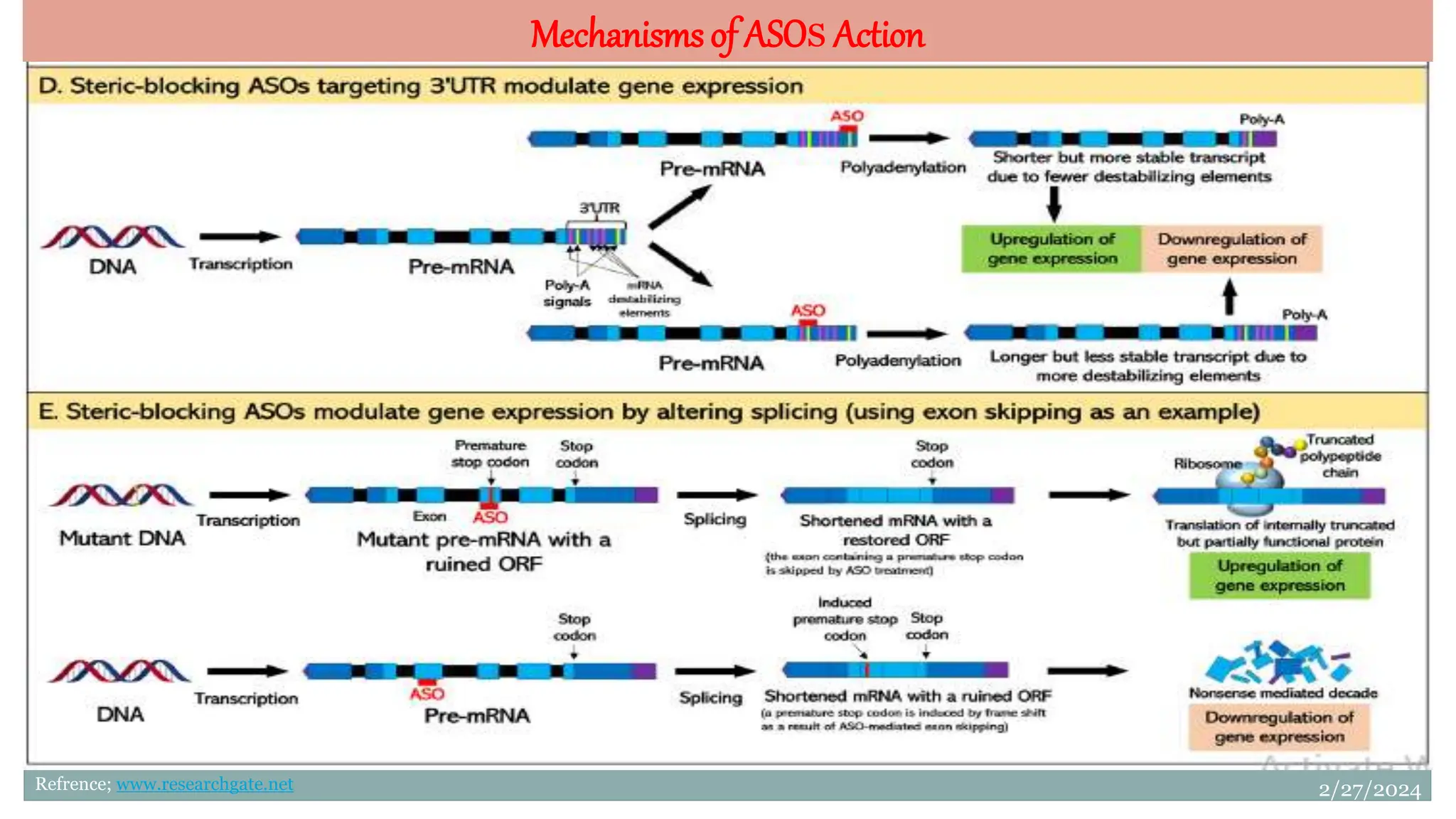 Antisense oligonucleotides ppt.ppt ISF COLLEGE OF PARMACY | PPTX
