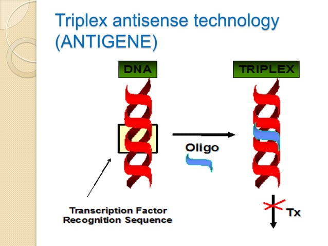 Antisense oligonucleotide therapy | PPT