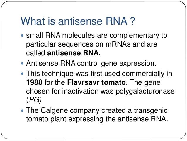 Antisense Rna