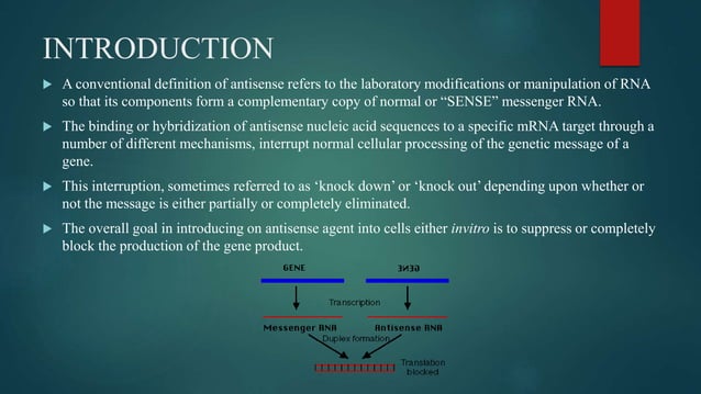 Antisense rna | PPT