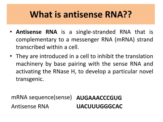 Antisense rna technology | PPTX | Chemistry | Science