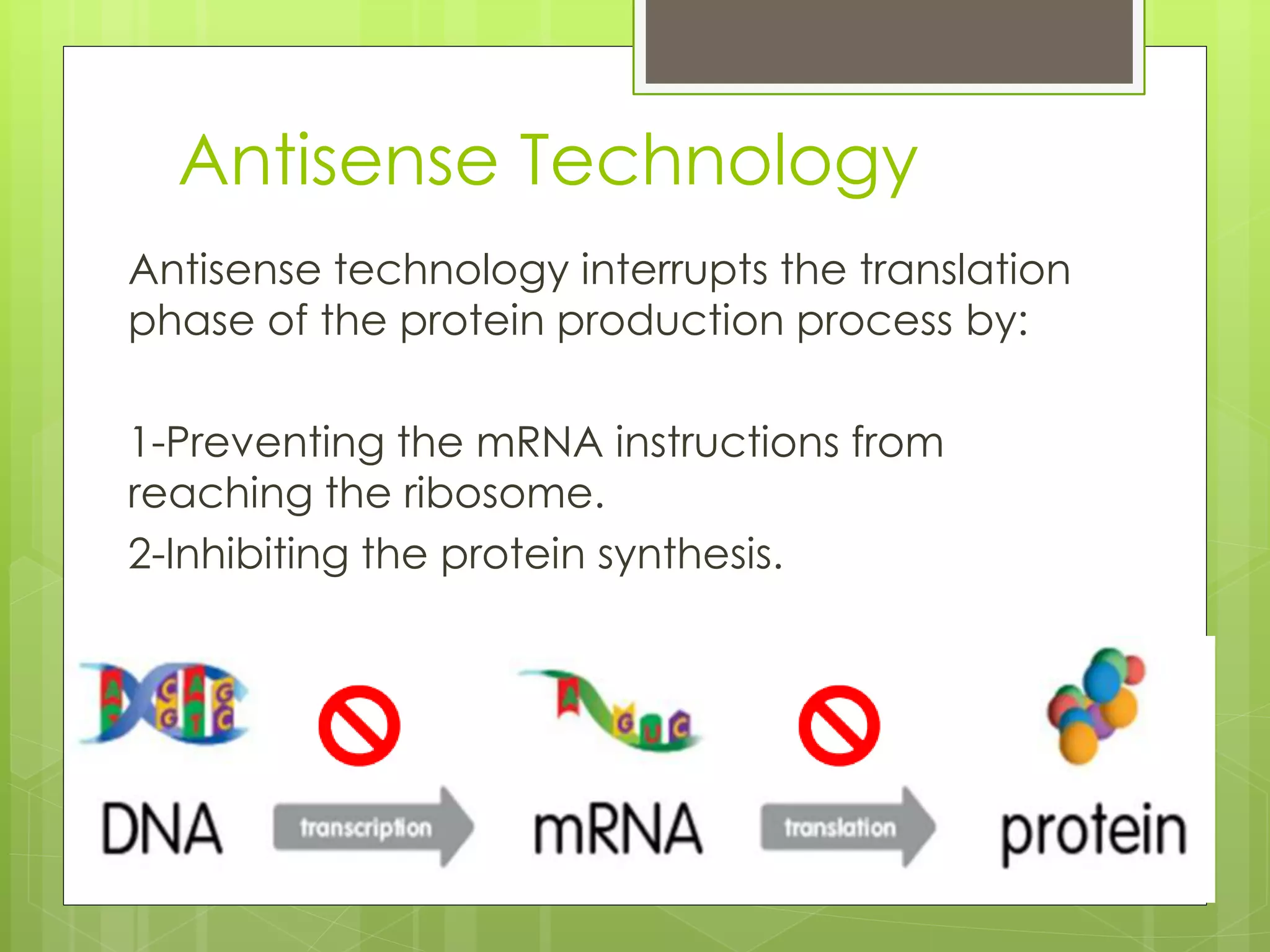Antisense rna and dna | PPTX