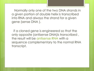Antisense rna and dna | PPTX