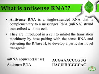Antisense RNA in crop | PPTX