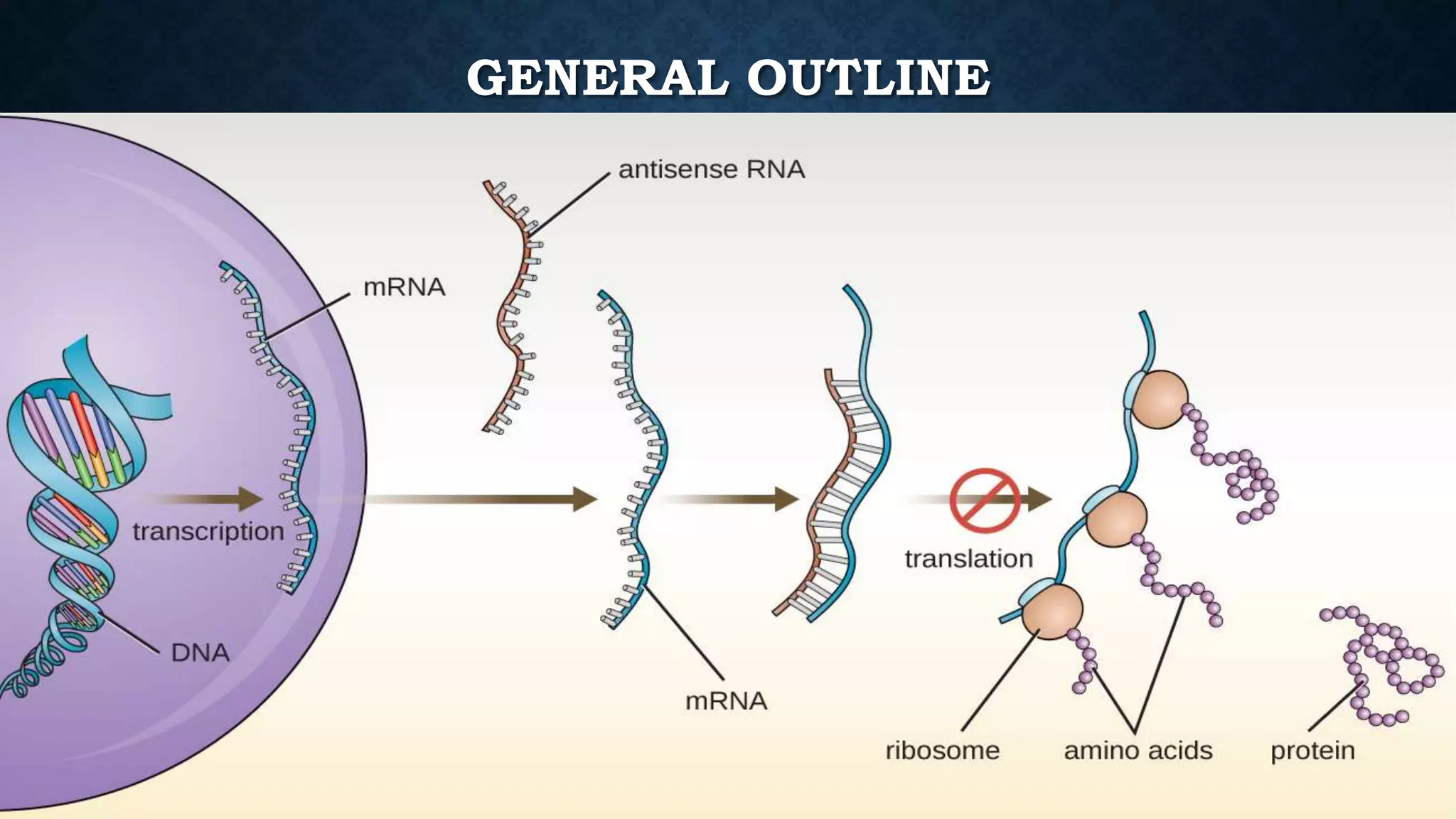 Antisense rna technology | PPTX