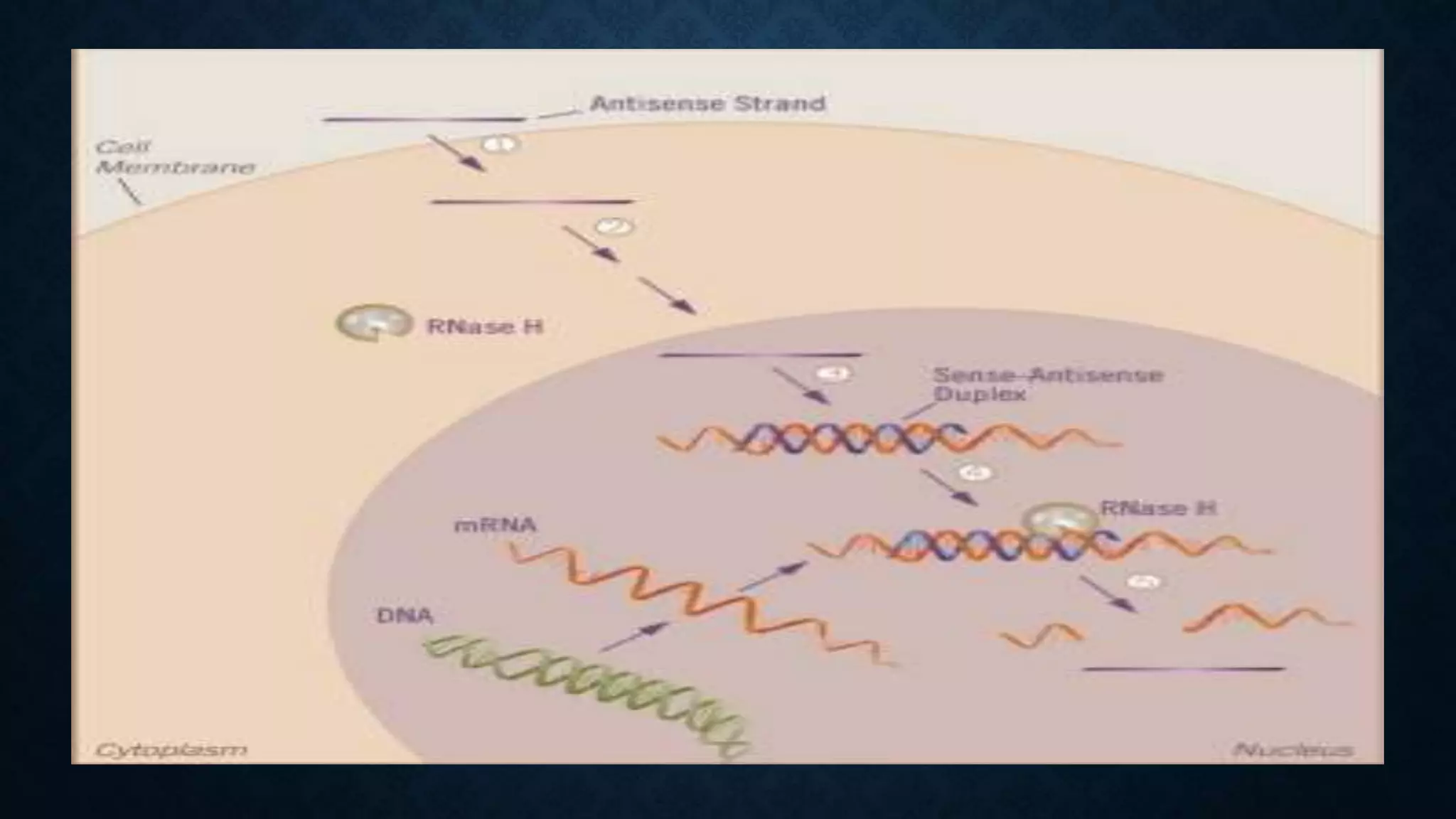 Antisense rna technology | PPTX