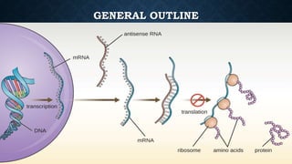 Antisense rna technology | PPTX