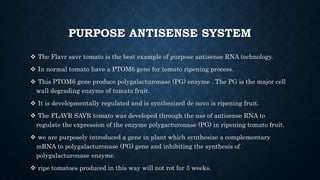 Antisense rna technology | PPTX