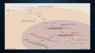 Antisense rna technology | PPTX