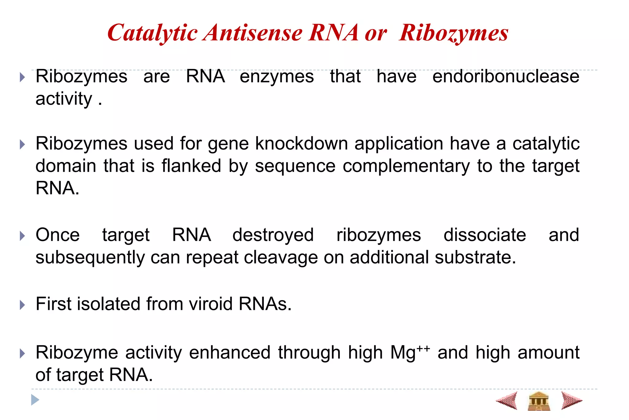 Antisense RNA technology & its role in crop improvement ppt surendra ...