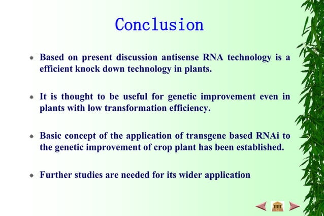Antisense RNA technology & its role in crop improvement ppt surendra ...