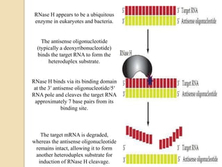 Antisense technologies and antisense oligonucleotides | PPTX